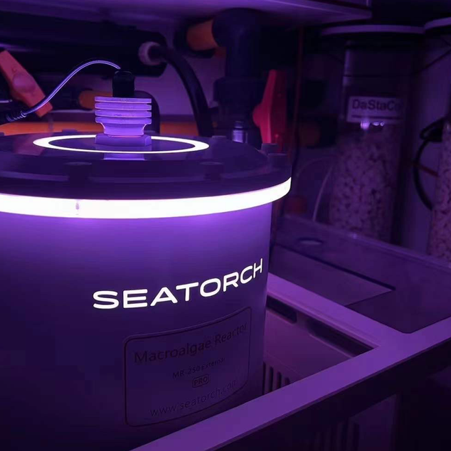 Seatorch Australia